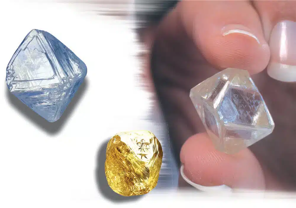 Verify Your Report - IGI