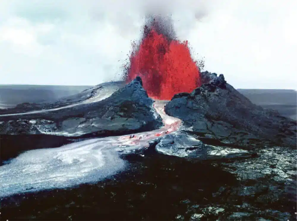 Verify Your Report - IGI